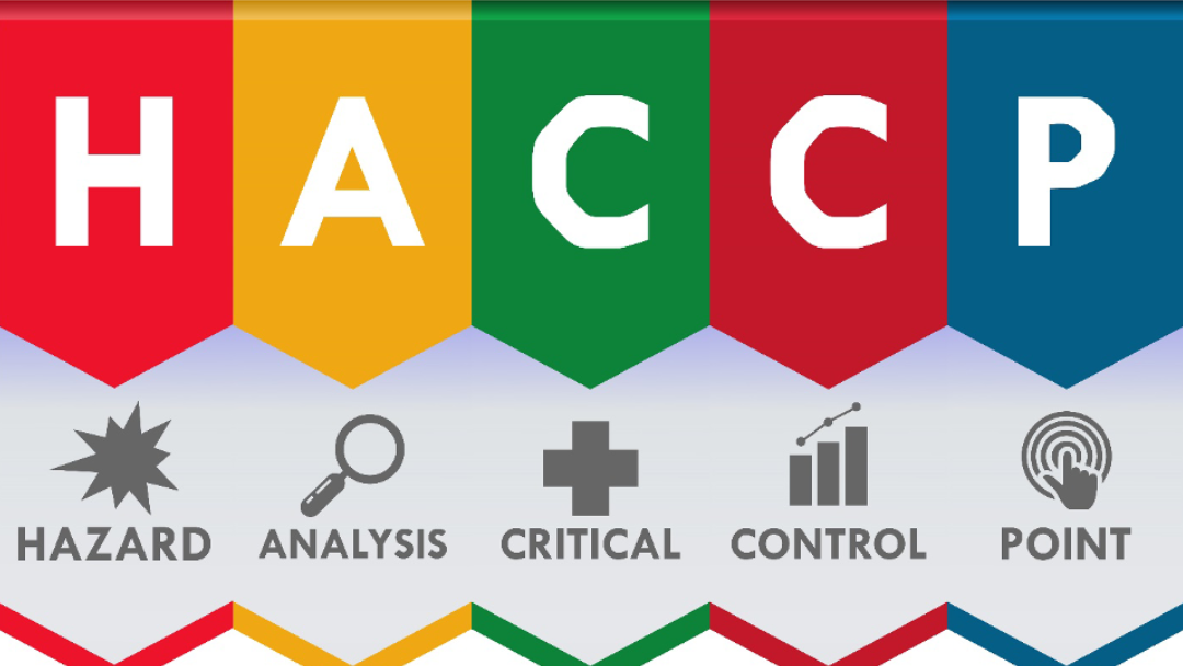 Haccp Audit Auditing Services Food Safety Asia